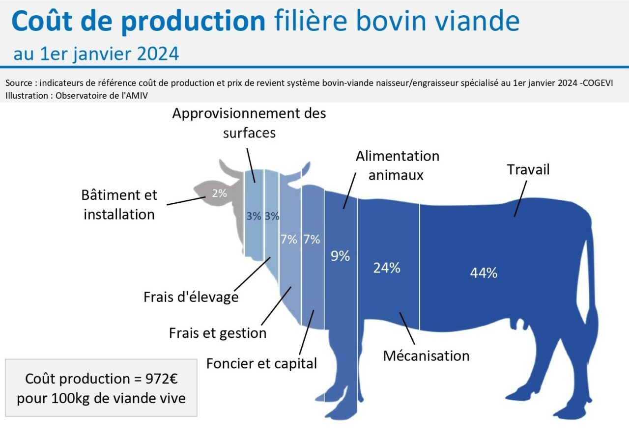 Bovins viande : répartition des charges dans le coût de production au ...